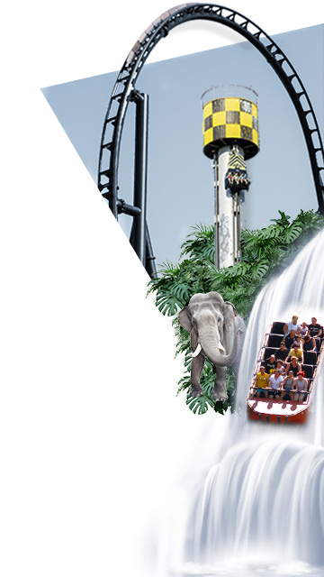 Bonos Parques Reunidos | Bono Parques