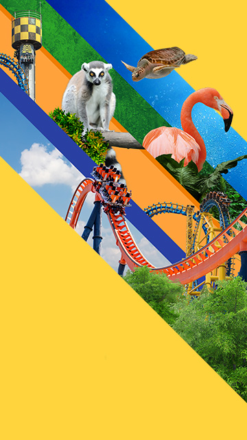 Bono Parques Reunidos - Mejores Parques Temáticos | Bono Parques