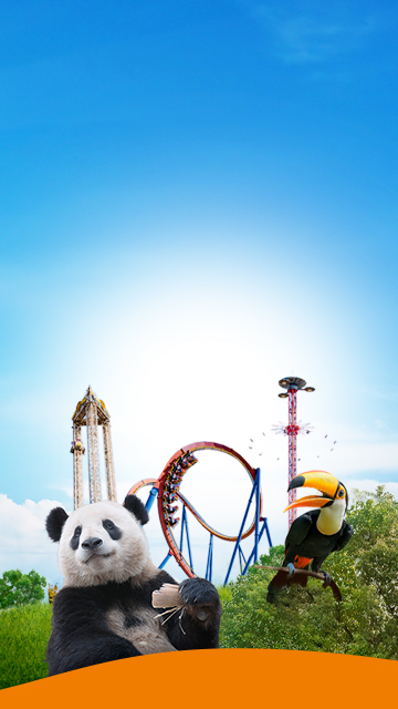 Bono Parques: Diversión Todo el Año en Parques Reunidos