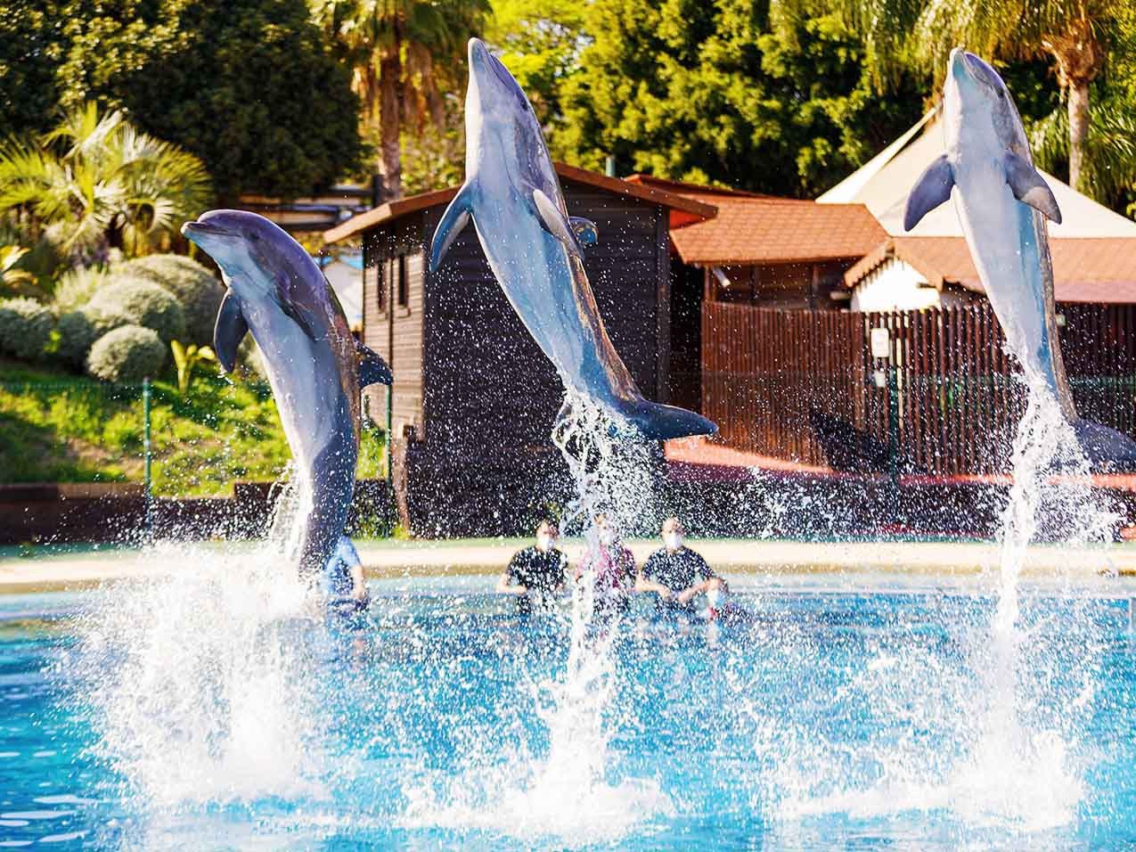 Descuentos de hasta el 20% | Bono Parques